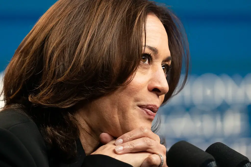 Kamala Harris’s Hysterical Laughing Fit Sends Eyebrows Skyward: High or ...