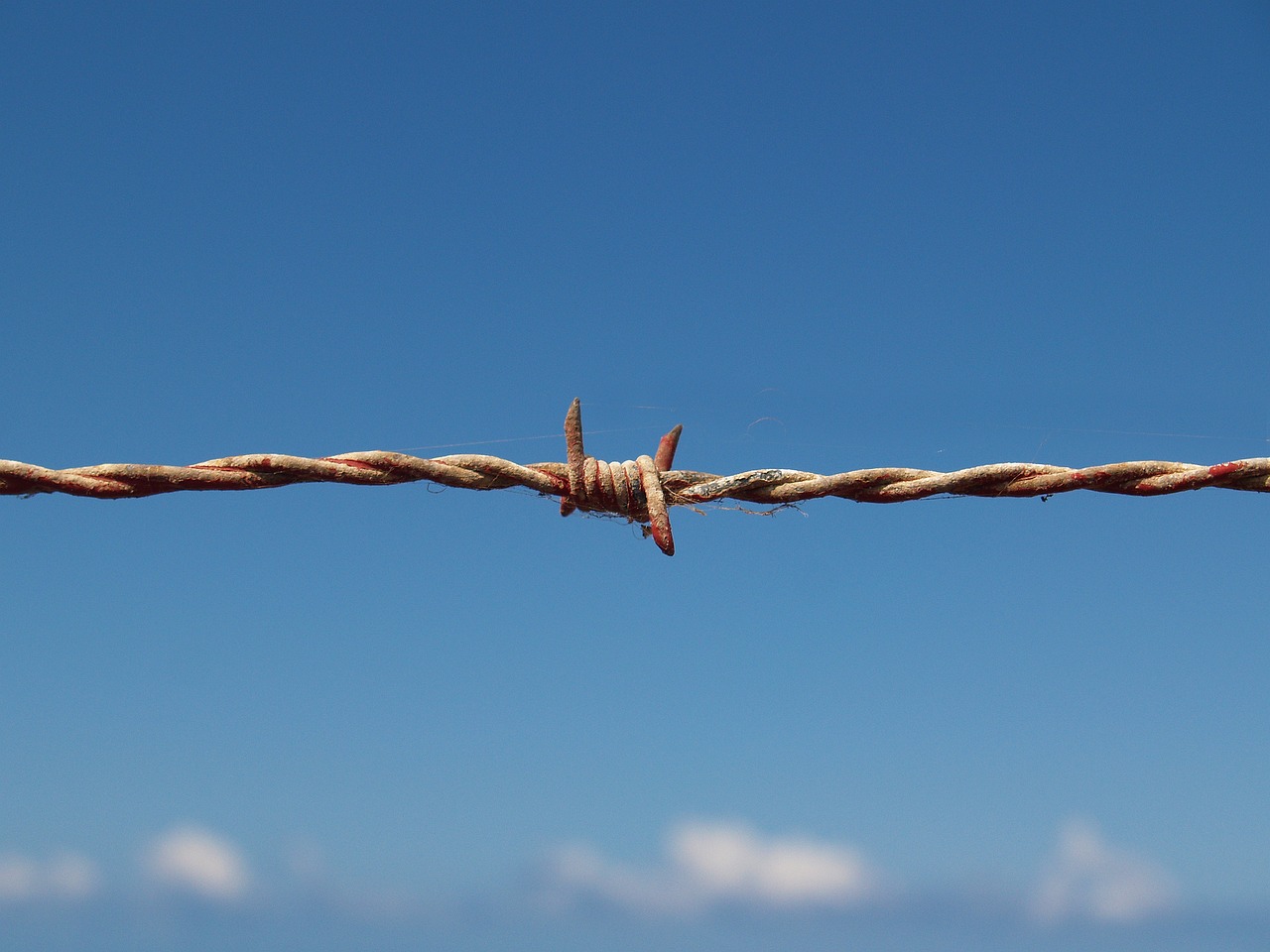 SCOTUS Betrays Border Security, Sides with Biden Razor Wire Removal ...