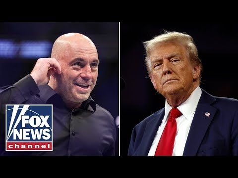 Joe Rogan Endorses Trump: What This Means for 2024 Election - American ...