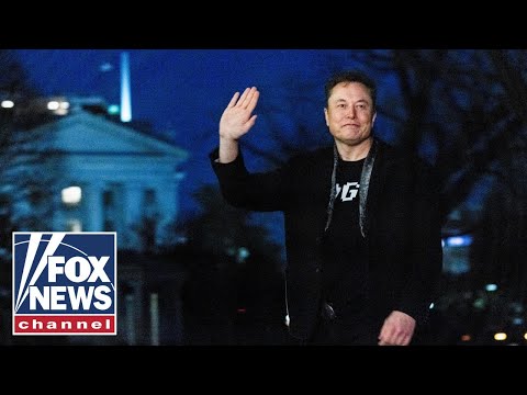 Dems Spiraling into Panic Over DOGE as Musk Steps Back - American Voter ...