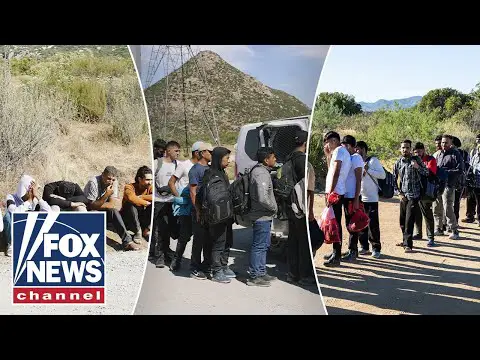 California Congressman Faces Backlash for 'INSANE' ICE Critique - American Voter Polls News