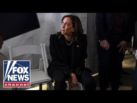Kamala Harris Moves On: What’s Next After Politics? - American Voter ...