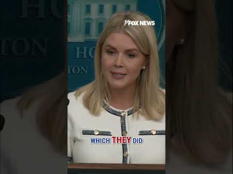 Leavitt Calls Out Dems: Epstein Files Exposé and Their Silence ...